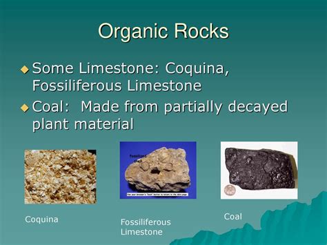 Sedimentary Rocks Ppt Download