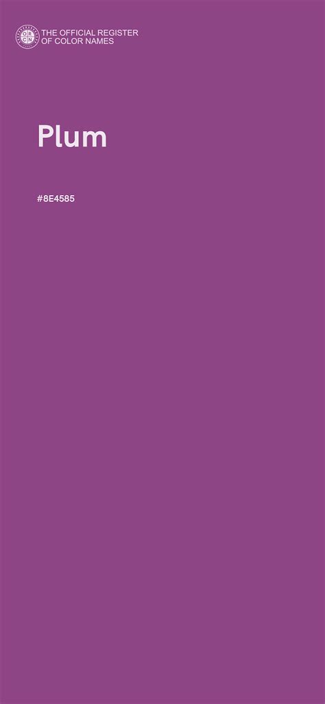 Plum Color 8e4585 The Official Register Of Color Names