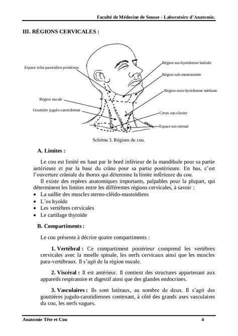 Aperçu Du Fichier Anatomie Tête Et Cou 2012pdf Page 4121