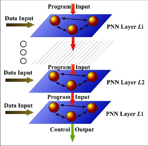 hierarchical multi layer architecture of the programmable neural download scientific diagram