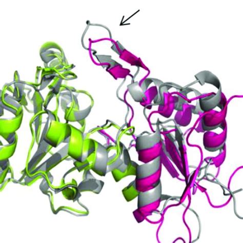 Crystal Structure Of The Murine Pgp Pdxp Hybrid Overall Structure Of Download Scientific