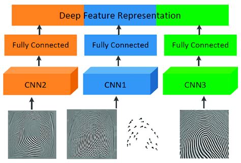 Deep Feature Representation Generation Process Using Three Download Scientific Diagram