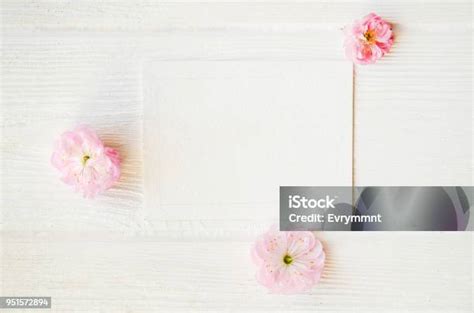 빈 인사말 카드 어머니의 날에 대 한 흰색 바탕에 분홍색 꽃 꽃 중 텍스트 복사 공간 꽃과 종이의 조각으로 최소한의 구성입니다 가 까이 서 상위 보기 공란에 대한 스톡 사진