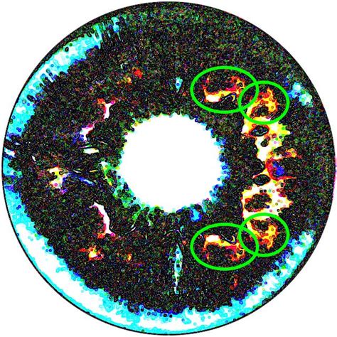 fake iris detection