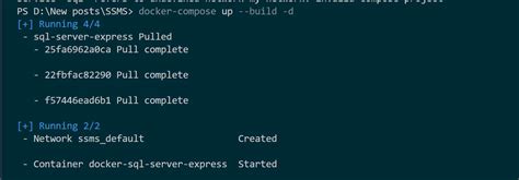 How To Run Microsoft Sql Servermssql Express On Docker