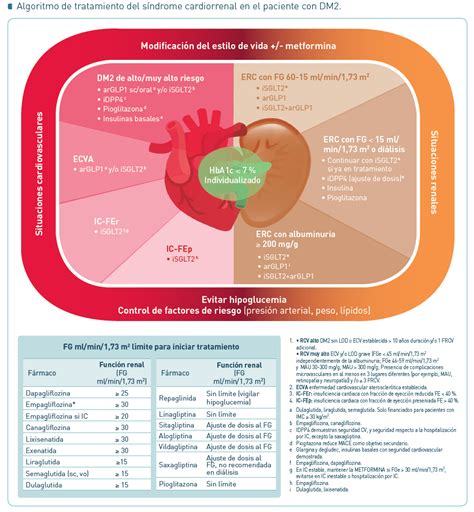 Complicaciones De La Diabetes Tipo 2