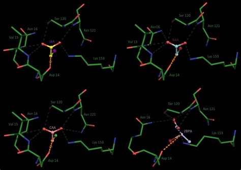 Illustration Of The Molecular Docking Calculations Of Various Substrate Download Scientific