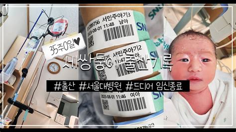 [세쌍둥이 임산부]35주 V Log 임산부 졸업 출산후기 세쌍둥이 35주0일 서울대학교병원 Youtube