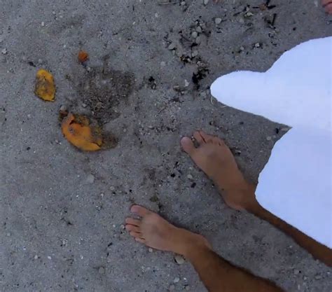 Vadhir Derbezs Feet Vadhir Derbezs Feet