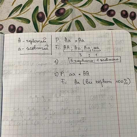 Розвʼязання задачі письмово У томатів ген що обумовлює червоний колір плодів домінує над