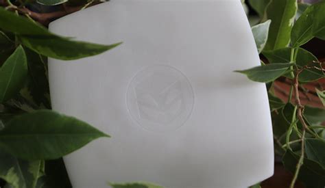 Alla Prima Erpro Group