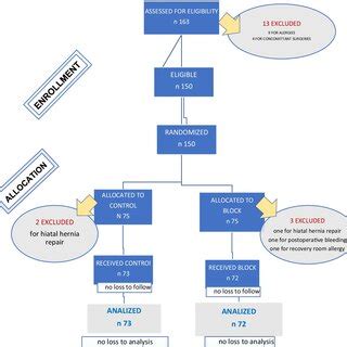 Flow Diagram Of Progress Through The Phases Of The Present Parallel Download Scientific Diagram