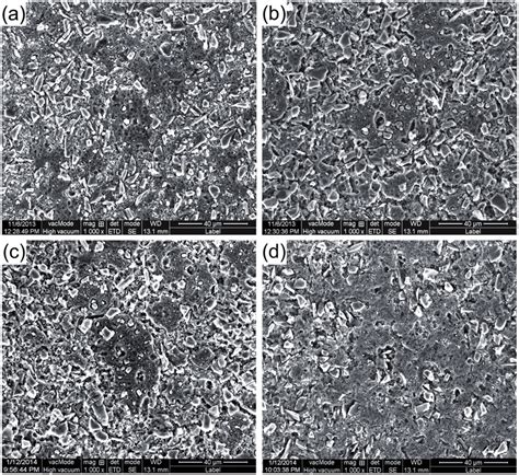 Microstructures Of The Sic P 6061 Al Composite Thixoforged Under Download Scientific Diagram