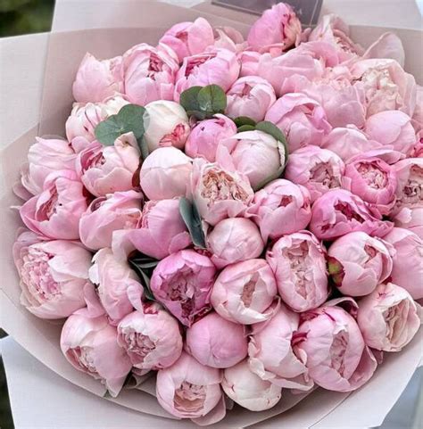 Купити букет півонії з доставкою у Києві краща ціна