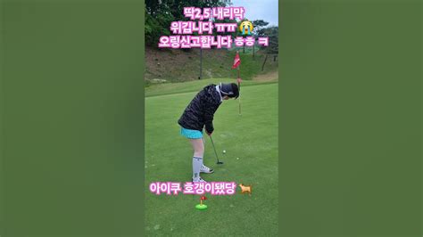 레이디☆찐삘골호갱이됐당😱🐕⛳️ 골프 골프존 스크린골프 nx 골프존cc 필드 필드골프 필드레슨 웨지 퍼터 아이언비거리 골프레슨 숏