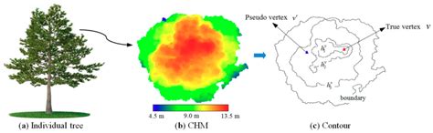 contour surround constraint for pseudo vertex removal a c correspond