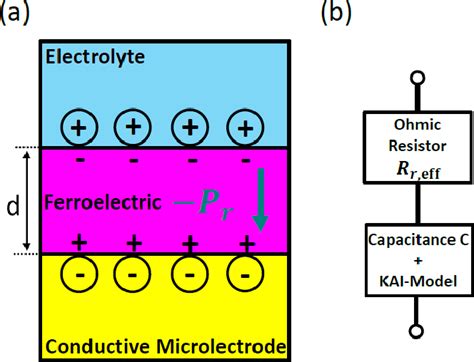 Figure 2 From Extracellular Electrical Stimulation By Ferroelectric Displacement Current In The