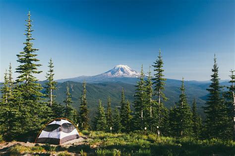 The History Of Social Security Numbers