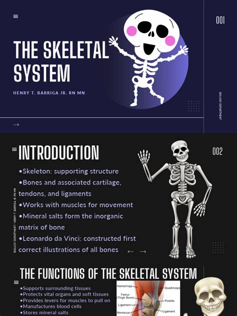 The Skeletal System Pdf Bone Skeleton