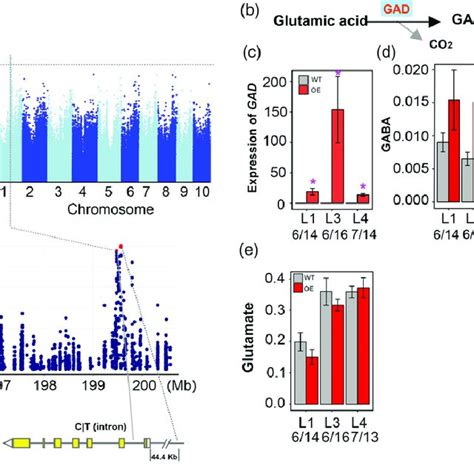Diagram Of The Designed Controller Fig 2 Structure Of A Uvm Testbench Download Scientific