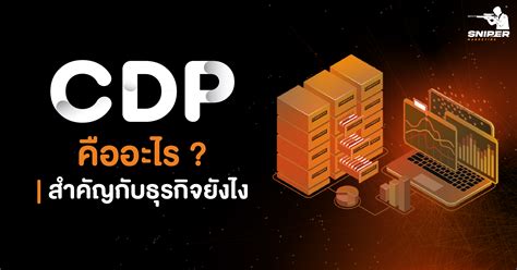 Cdp คืออะไร สำคัญกับธุรกิจยังไง Sniper Digital Marketing And Marketing
