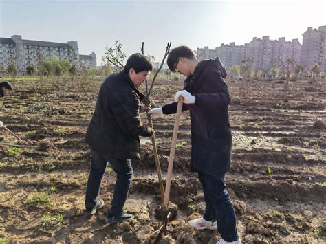 学生公寓党支部与联系班级开展义务植树活动 安徽工业大学后勤处（后勤集团）