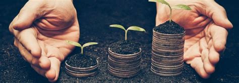 Shin Yi Chew On Linkedin Sustainability Accounting Business