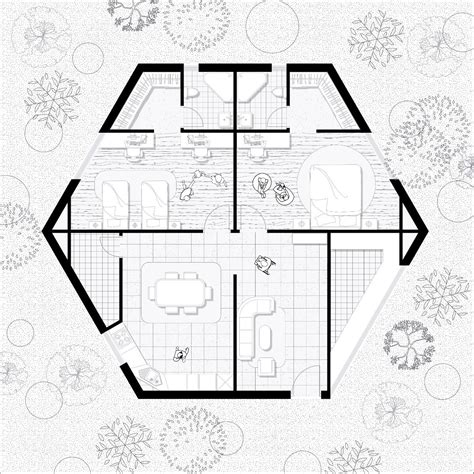 Hexagon House Architecture Portfolio
