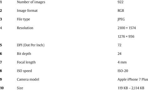 Naming Structure Of The Files In The Dataset Download Scientific Diagram