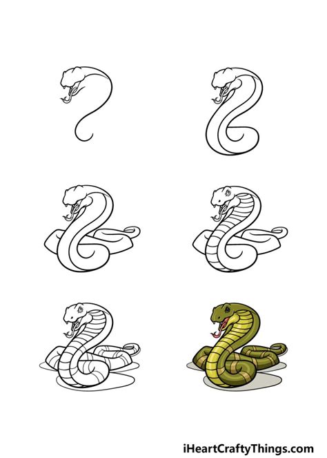 King Cobra Drawing How To Draw A King Cobra Step By Step