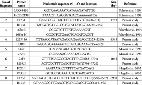 Primer Pairs Used For Pcr Amplification Download Table