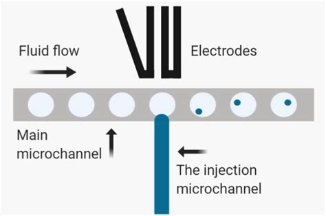 Designing A Droplet Microfluidic Experiment UFluidix