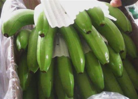 Pe Foam Là Gì Ứng Dụng Phổ Biến Của Xốp định Hình