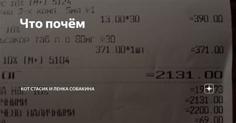 Что почём Пенсионерка Собакина и ее кот Стасик Дзен