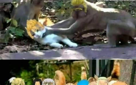 حدس میزنی این اوسی خواهر کدوم کارکتر انیمه ای هست؟ Test Quotev