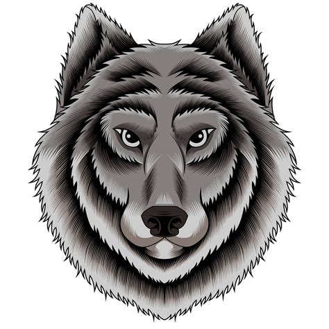 Wolf Head Vector Illustration 23368292 Vector Art At Vecteezy