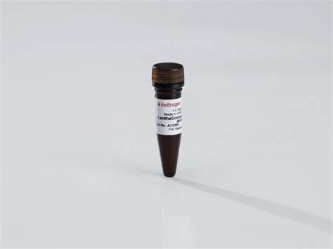 Lanthascreen™ Tb Anti Gfp Antibody 25 μg Contact Us Invitrogen™