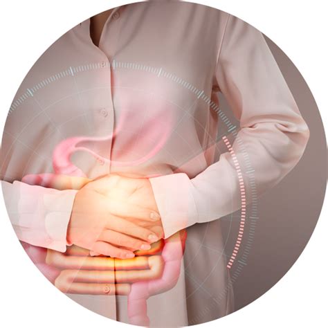 건강검진클리닉 연세이지내과