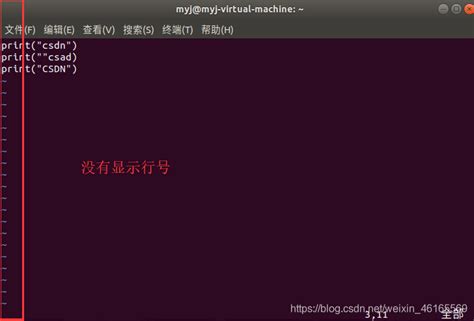 Vim编辑器 解决无法显示行号问题vi 不现实行号 Csdn博客