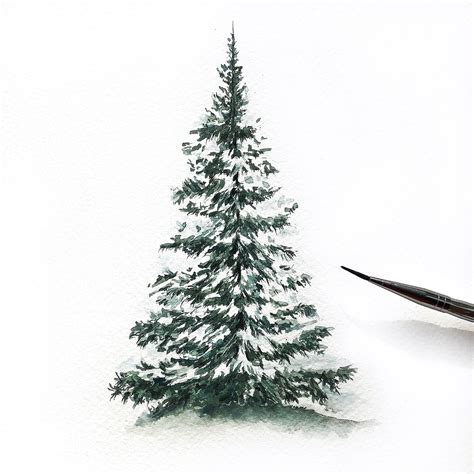 Pine Tree With Snow Drawing Drawing Skills Academy