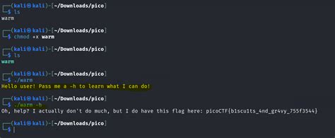 Picoctf Wave A Flag Persecure My Learning Archive