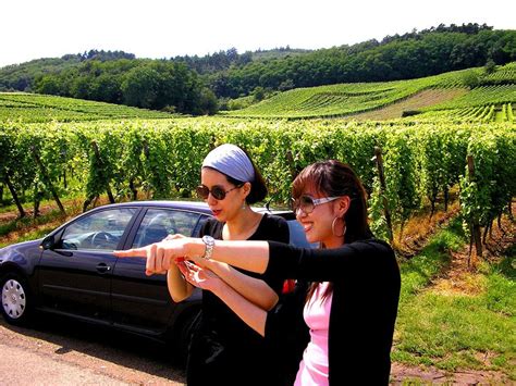 투어 알자스 와인가도에서 즐기는 힐링 투어 줌줌투어 프랑스 스트라스부르