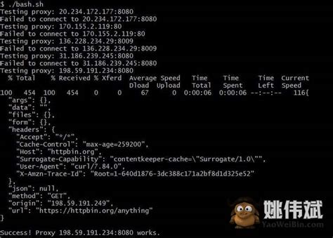 如何使用cURL进行网页抓取 姚伟斌