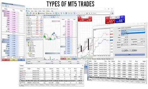 Automate Your Trading Strategy Into Mt4 Or Mt5 Meta Trader Mql4mql5 By Sparkybobb Fiverr
