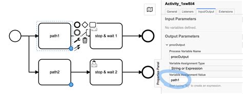 Can Not See Process Variable Specific To Execution Path On Cockpit When Two Execution Paths Used