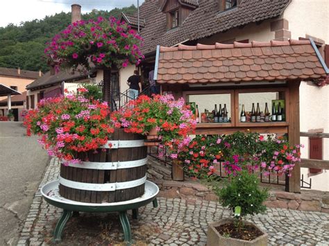 프라이빗 단독 프랑스 알자스투어 1박 2일 와인 테스팅