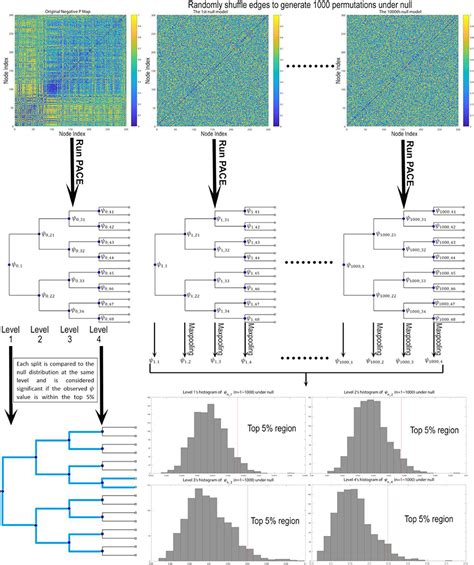 Frontiers From Default Mode Network To The Basal Configuration Sex Differences In The Resting Frontiers From Default Mode Network To The Basal Configuration Sex Differences In The Resting