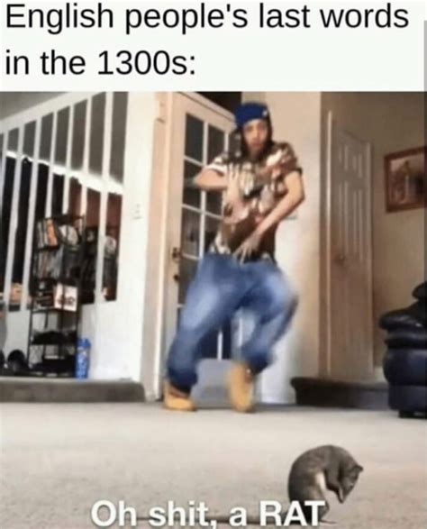 A Rat Meme Subido Por Pjhill Memedroid