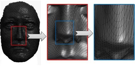 3d Facial Surface Discretized On Triangular Mesh Of N Vertices Download Scientific Diagram