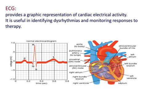 PPT Evaluation Of Cardiac Safety By ECG Findings Focus On QTc Duration PowerPoint